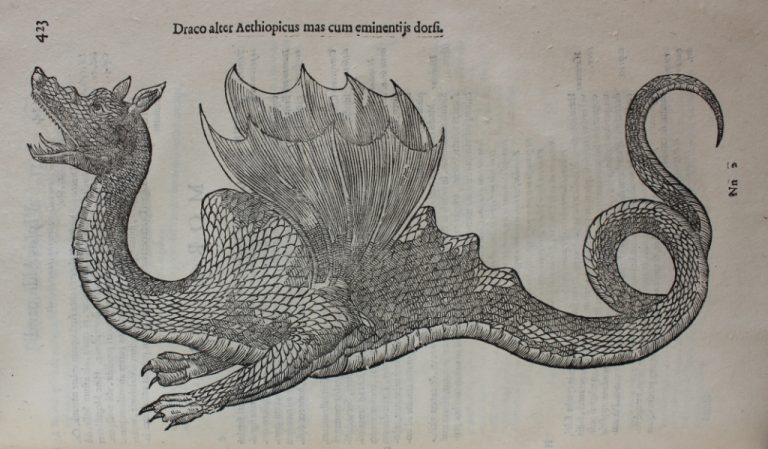 Winged Dragon | Mythical Creature Edward Worth LIbrary